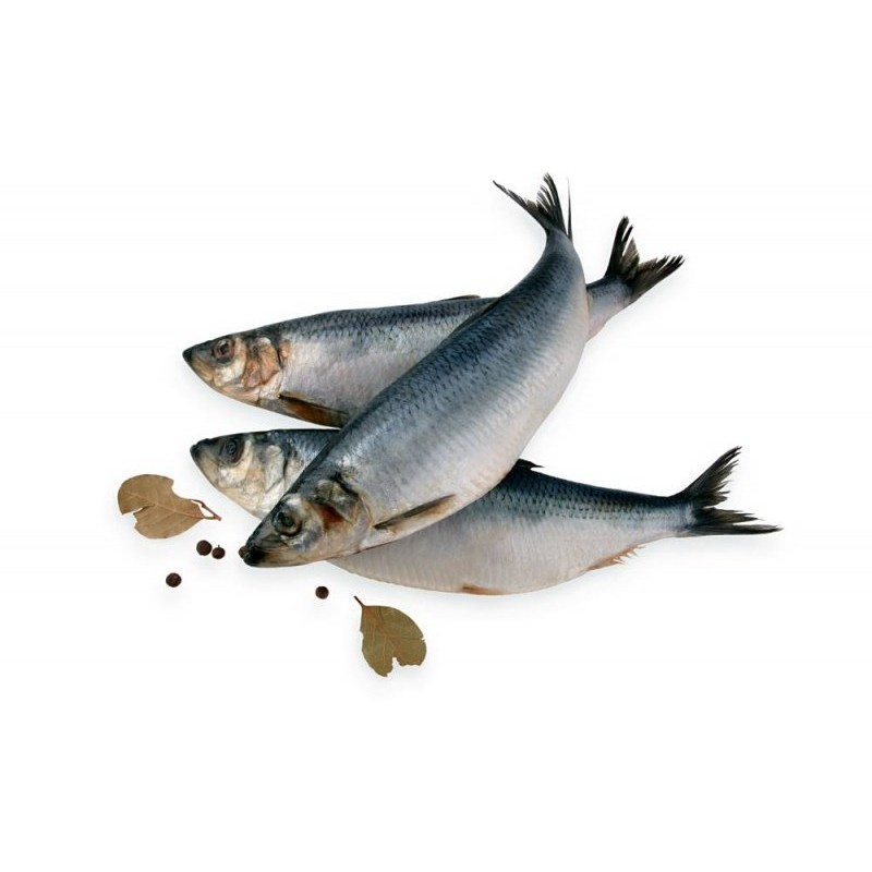 Shop - Baltic Food Oxford